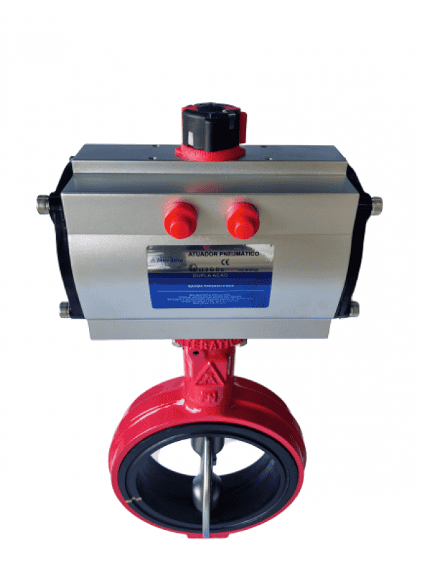 Válvula Borboleta 6 Polegadas - Ferroleto - Valves & Controls